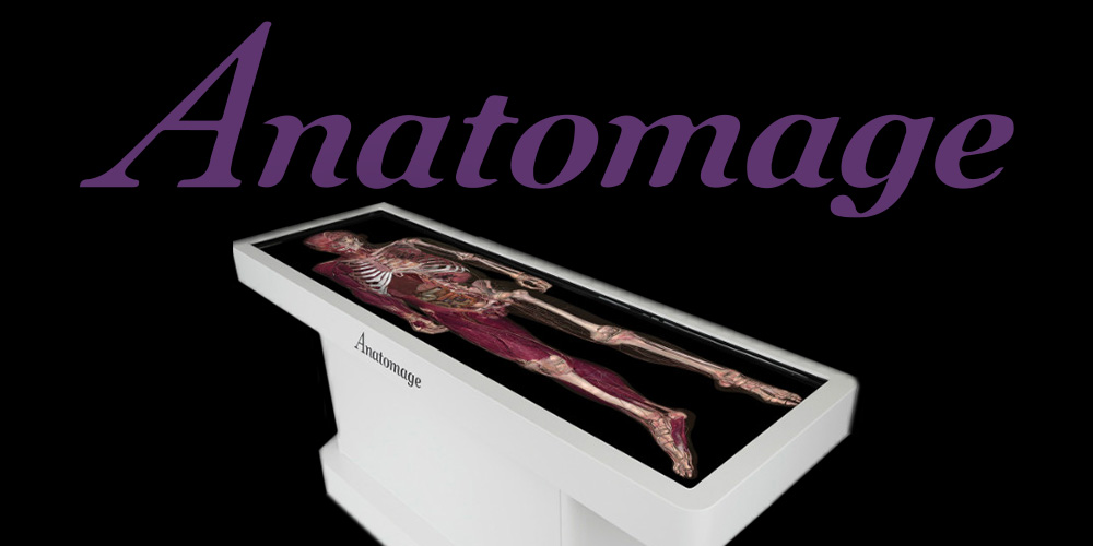 Contact Us - Anatomage