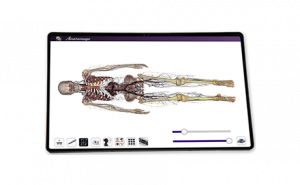 Tablet – Anatomage