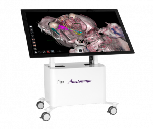 Table Vet – Anatomage