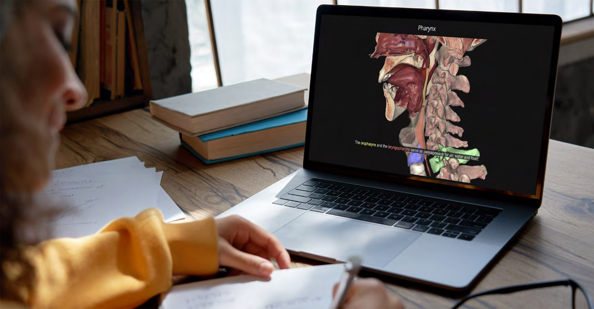 LESSONS – Anatomage