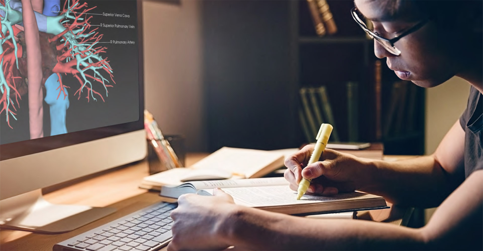 Lessons – Anatomage