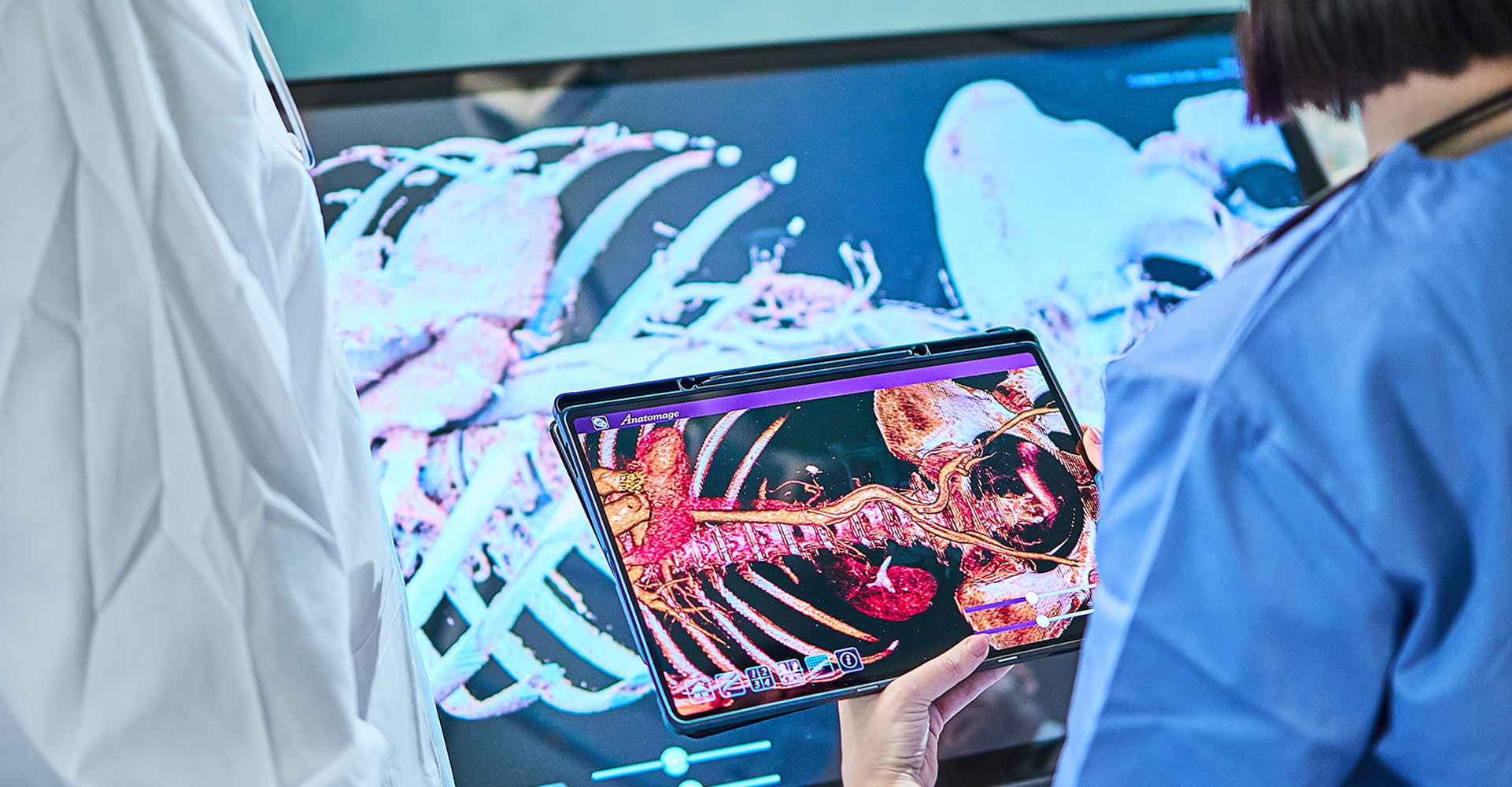 Tablet – Anatomage