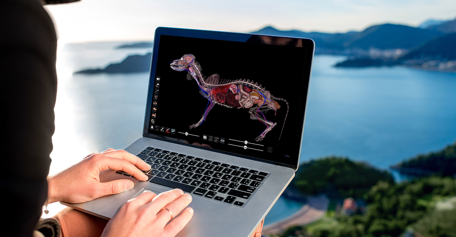 Table Vet – Anatomage