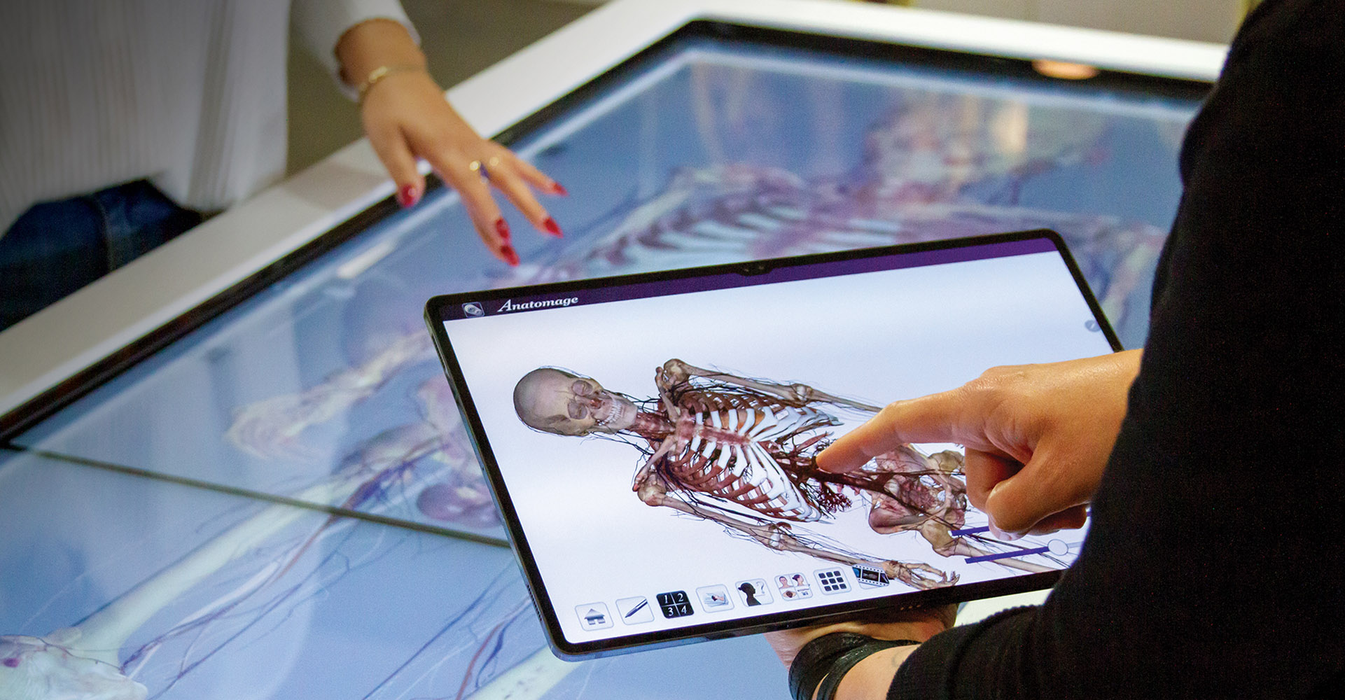 Tablet – Anatomage