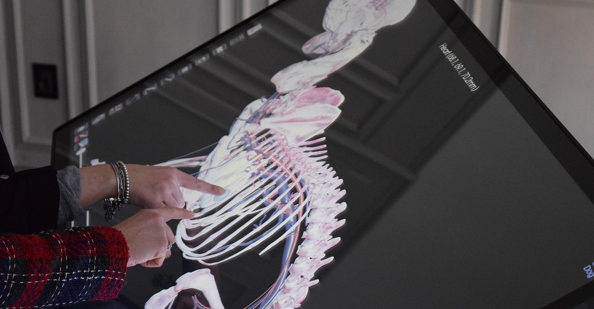 Table Vet – Anatomage