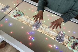 SCIENCE TABLE – Anatomage